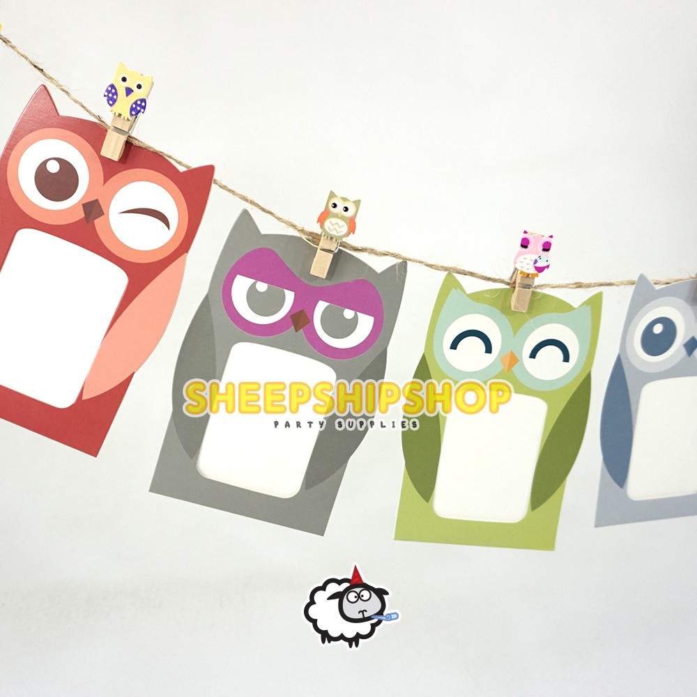 Jual Picture Frame Owl / Pigura Foto 2R Kertas Karton Art Paper ...