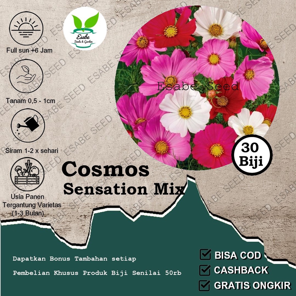 Jual Benih Biji Bunga Cosmos Tall Mixed | Shopee Indonesia