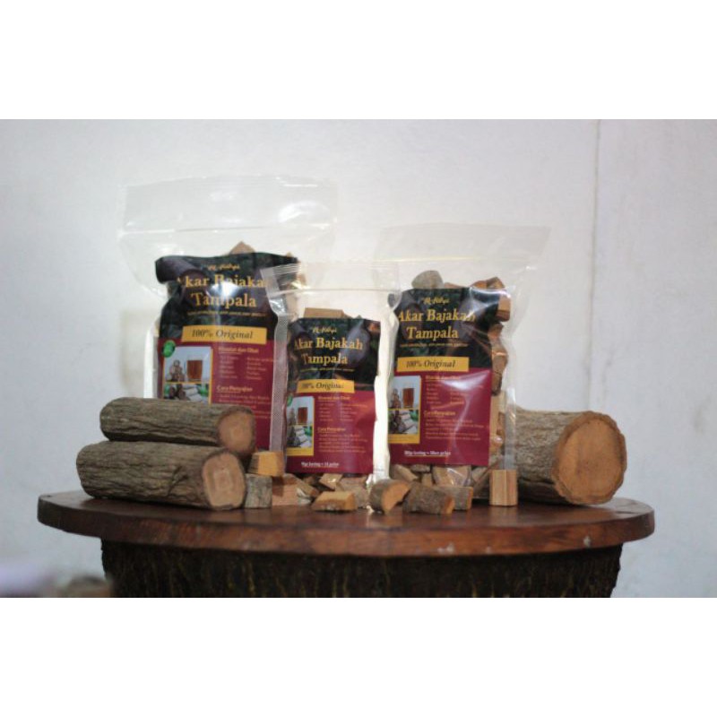 Jual Akar Bajakah Tempala Varian Potongan Kayu Kering | Shopee Indonesia