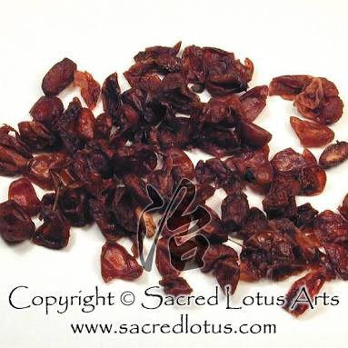 Jual 10 G 50 GR 100 GRAM SHAN ZHU YU SHAN ZAO ROU 山茱萸 山枣肉 CORNUS FRUIT ...