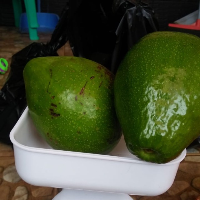 Jual Alpukat banyuwangi super jumbo | Shopee Indonesia