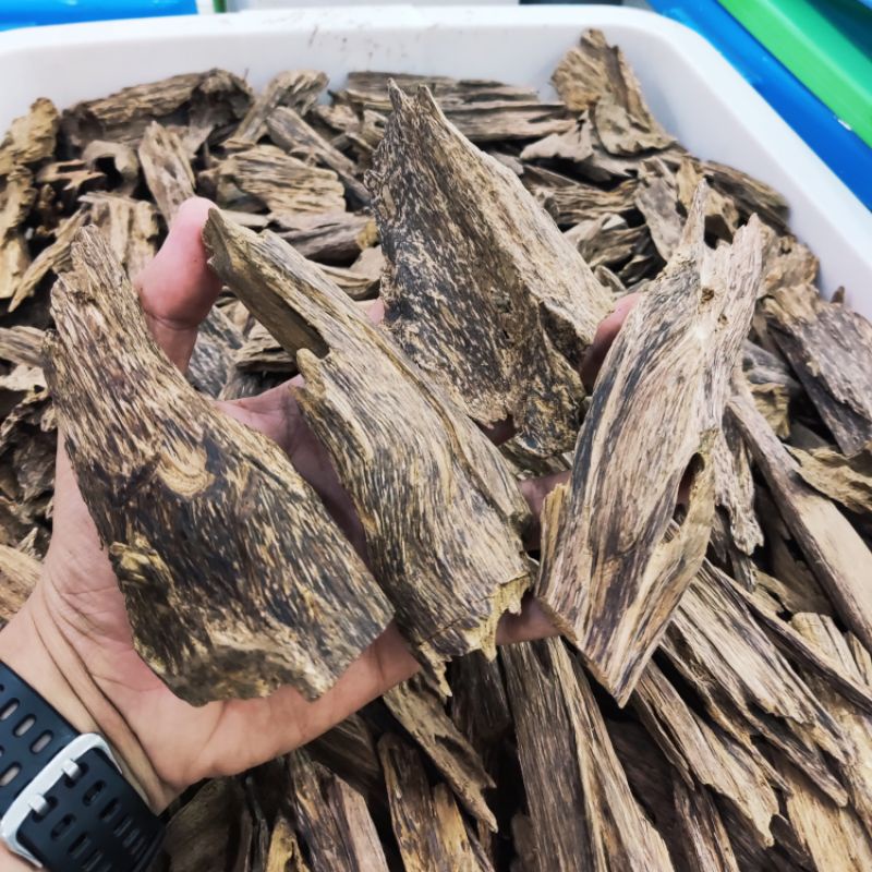 Jual 10 Gram Kayu Gaharu Oudh Bukhur Malinau Kalimantan Super AA Wangi ...