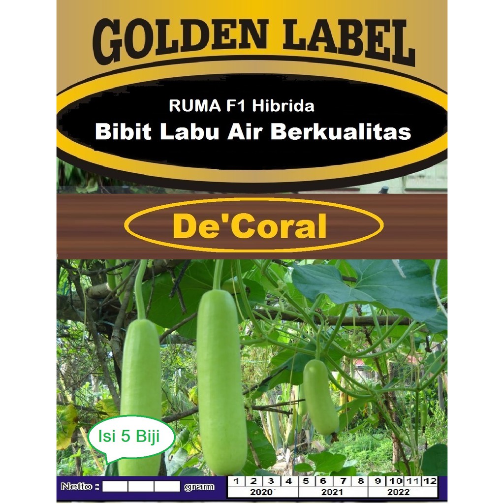Jual Bibit Labu Air RUMA F1 Hibrida |Benih Labu air | Labu Siam ...