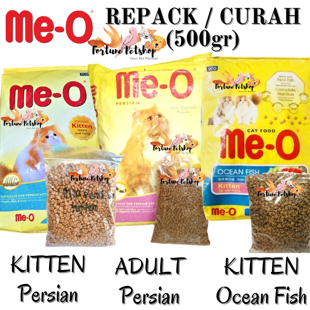 Jual Meo Kitten Persian / Adult Persian / Kitten Ocean Fish REPACK ...