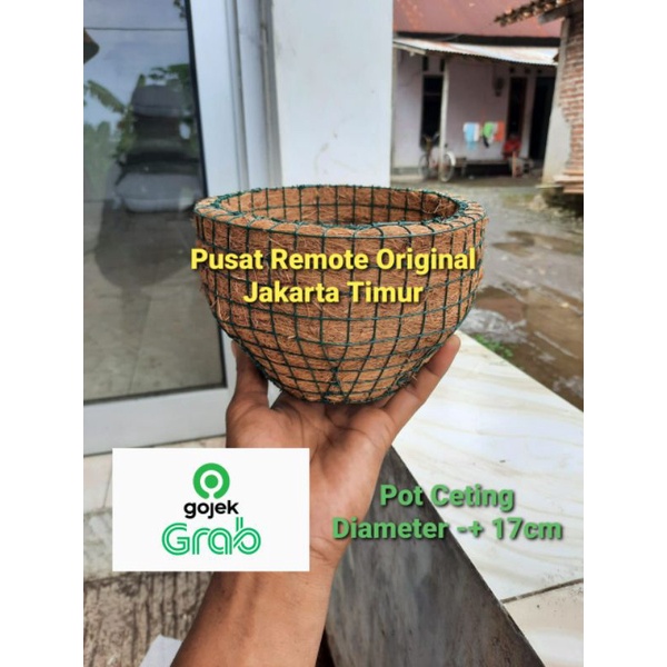 Jual POT BUNGA POT TANAMAN SERABUT KELAPA MODEL CETING UNIK | Shopee ...