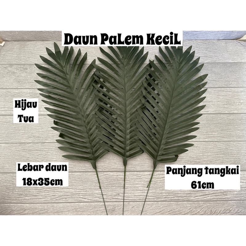 Jual Daun Palm / Daun palem per pc | Shopee Indonesia