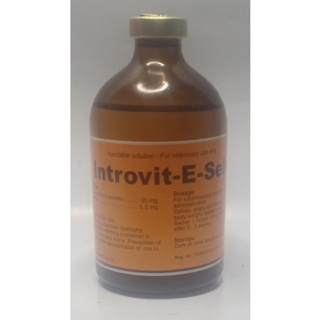 Jual Introvit E Selen 100 mili Introvit E Selen 100 ml Introvit-E-Selen ...