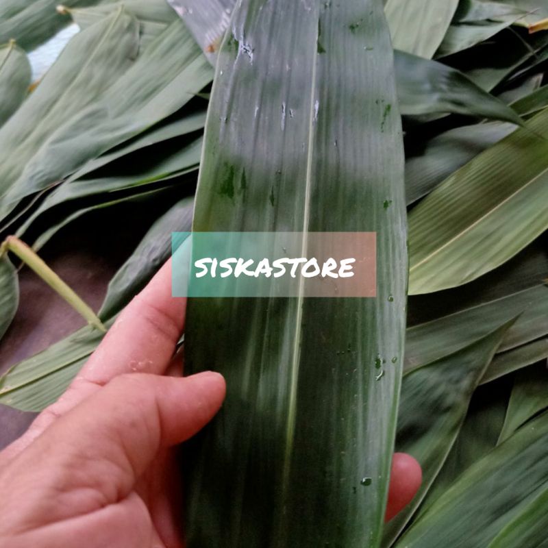 Jual Daun Bambu segar / pembungkus makanan tradisional 200 lembar ...