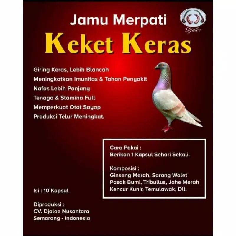 Jual KEKET KERAS merpati | Shopee Indonesia