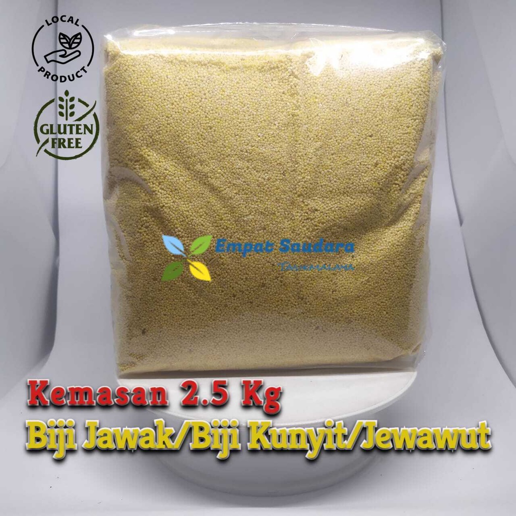 Jual BIJI JAWAK / BIJI KUNYIT / JEWAWUT / SEKOI / FOXTAIL MILLET ...
