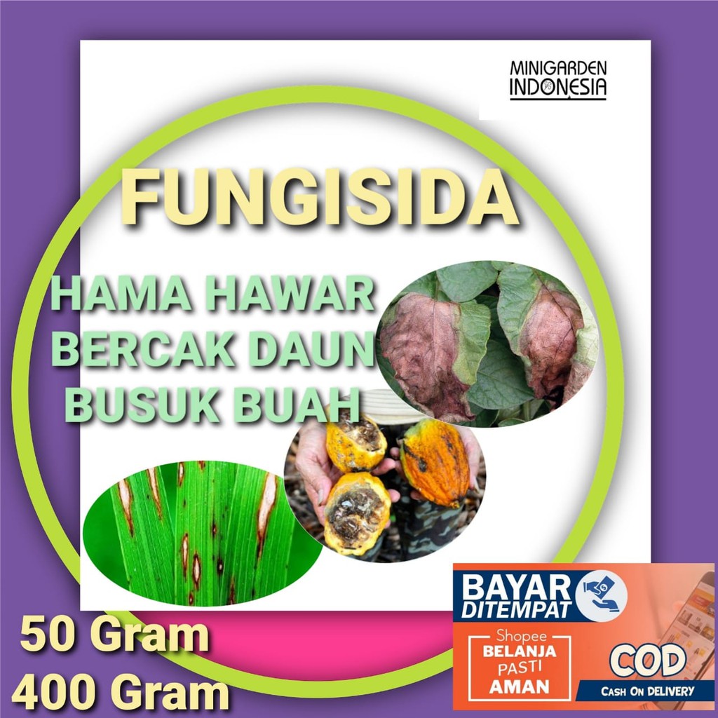 Jual FUNGISIDA TAFT obat pengendali hama penyakit hawar daun bercak ...
