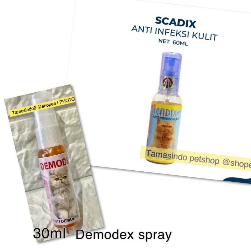 Jual obat infeksi kulit kucing / anjing SCADIX DEMODEX | Shopee Indonesia