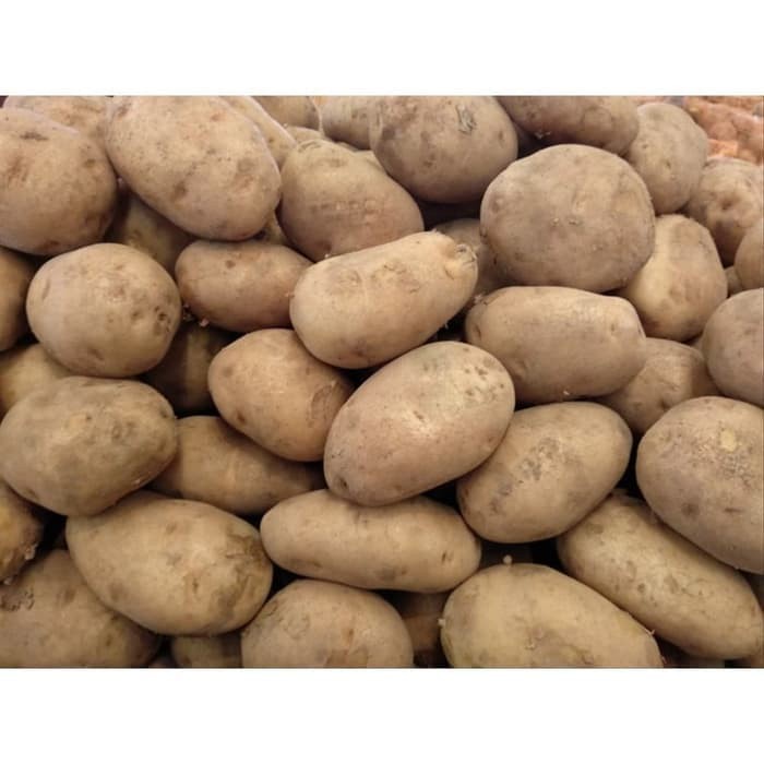 Jual Kentang Sedang 1/2 kg Fresh Kentang Dieng Sedang 500gr | Shopee ...