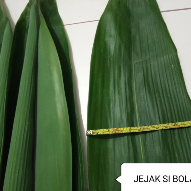 Jual DAUN BAMBU BUNGKUS BACANG PER LEMBAR | Shopee Indonesia