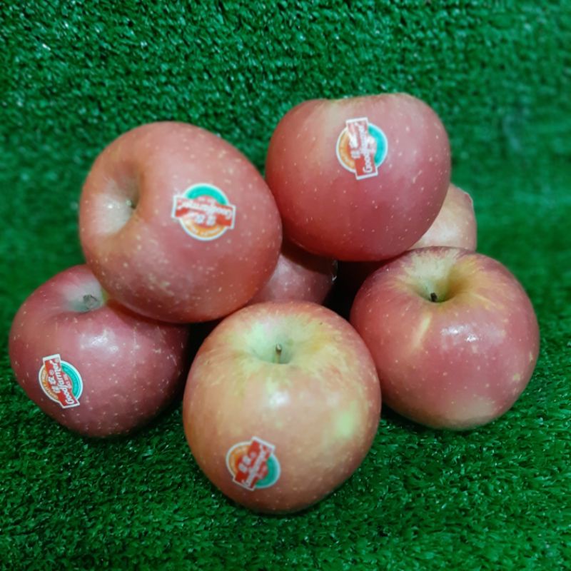 Jual Apel Fuji Fresh 1kg | Shopee Indonesia