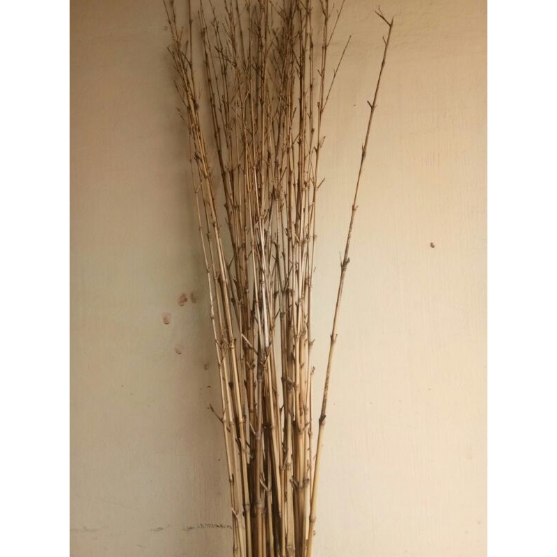 Jual bambu cendani lurus natural /1LE NAT | Shopee Indonesia