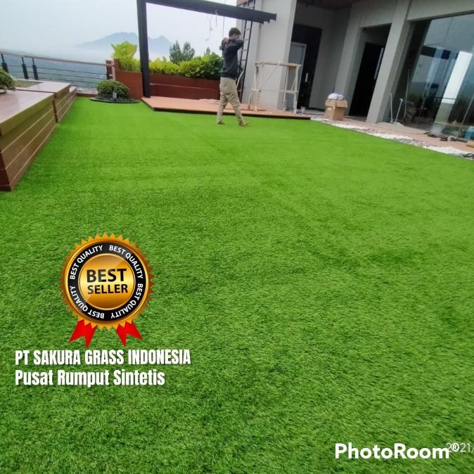 Jual Paket Rumput Sintetis, Daun Pakis Dan Daun Dolar Quantity ...