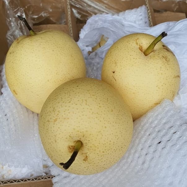 Jual PEAR CENTURY (pack 1kg) | Shopee Indonesia