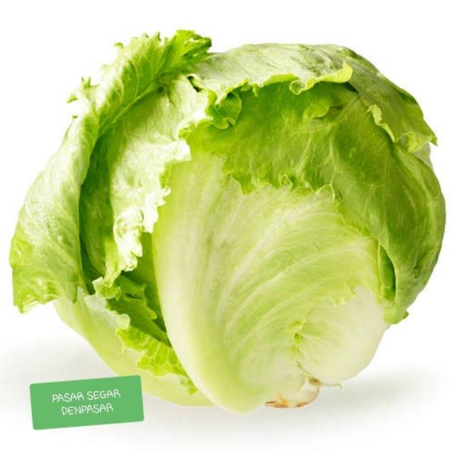 Jual ICEBERG LETTUCE/SELADA BULAT 250Gr | Shopee Indonesia