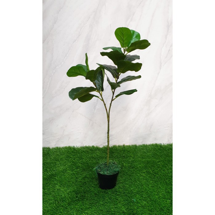 Jual TERLENGKAP POHON KETAPANG ARTIFICIAL CABANG DUA (M) | Shopee Indonesia