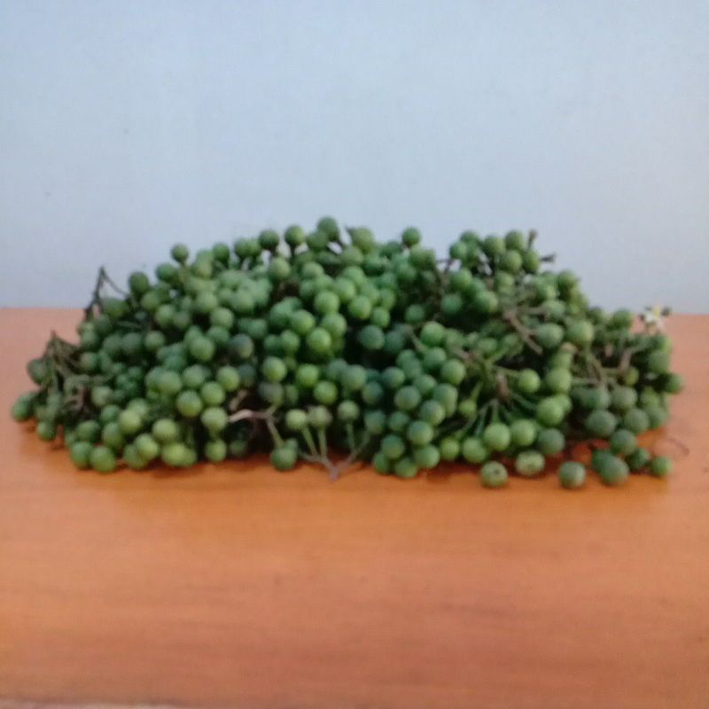 Jual Buah Takokak segar 1 Kg / Tekokak (solanum torvum) | Shopee Indonesia