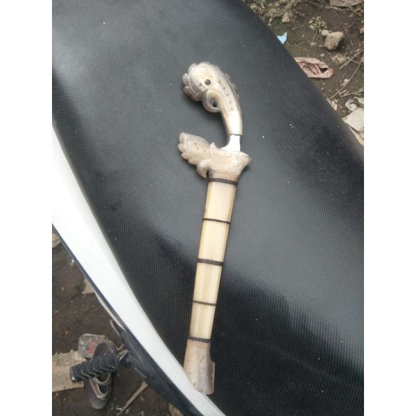 Jual TUMBUK LADA KARO (TANDUK KERBAU BULE) | Shopee Indonesia