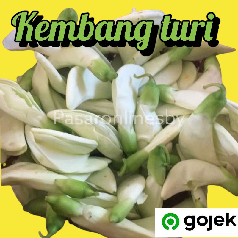 Jual Kembang / Bunga Turi - Per Pack | Shopee Indonesia