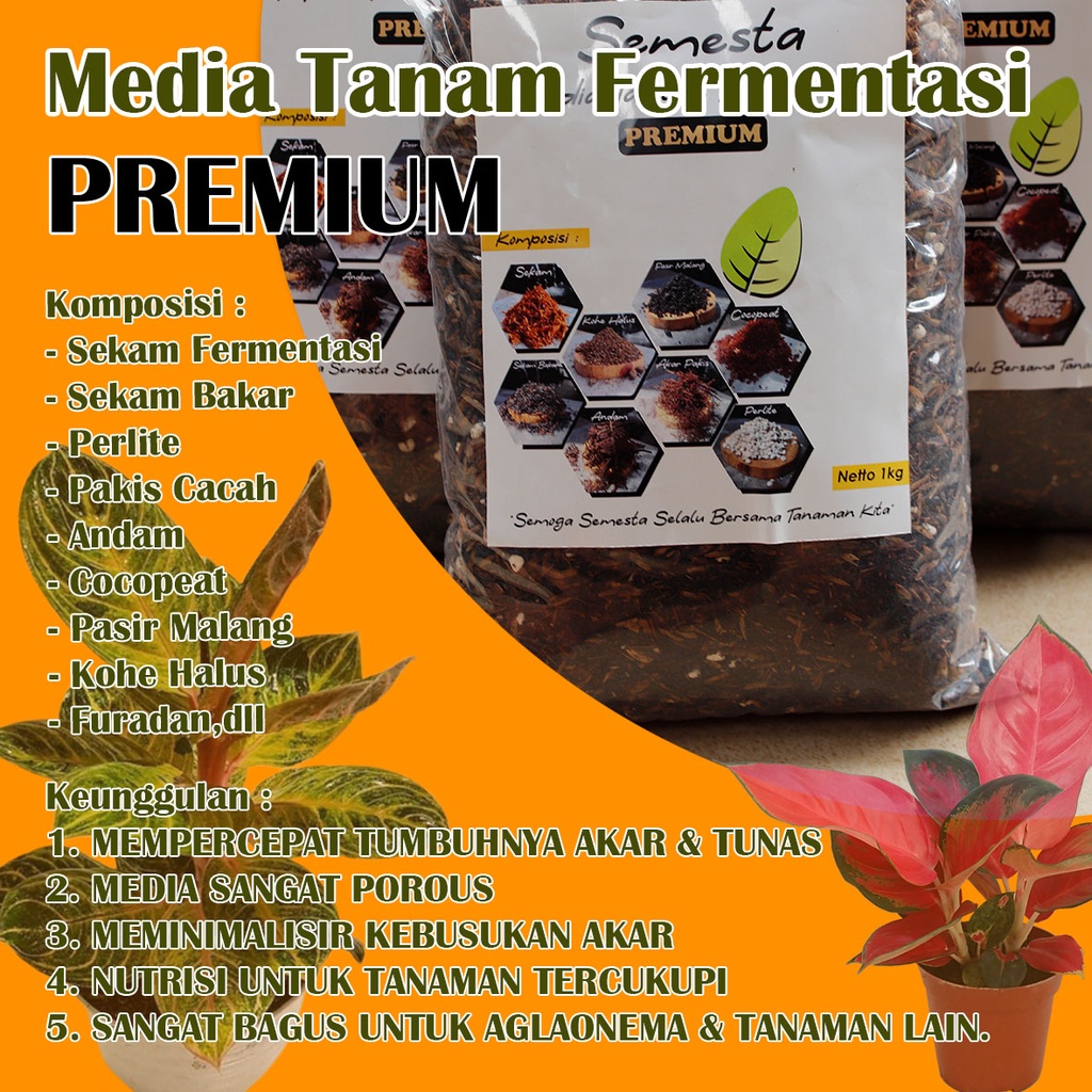 Jual Media Tanam Premium - Media Tanam Aglaonema / Media Tanam ... Jual Media Tanam Premium - Media Tanam Aglaonema / Media Tanam ...