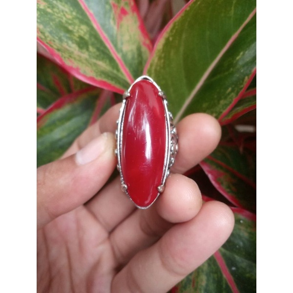 Jual Asli Alam Batu Red Baron Model Pandan 1000% Natural | Shopee Indonesia