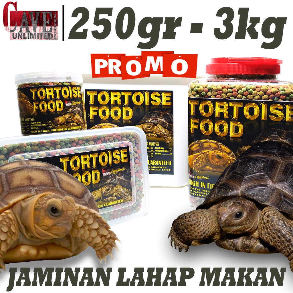 Jual PAKAN MAKANAN PELET TORTOISE TORTO FOOD PAKAN KURA KURA DARAT ...