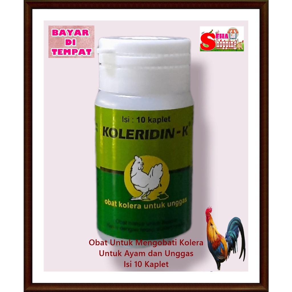 Jual Koleridin - K 10 Kaplet - Obat Kolera Mencret Hijau Untuk Ayam ...