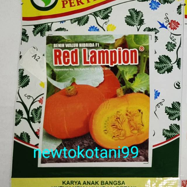 Jual Benih waluh hibrida RED LAMPION F1 smallpack labu kabocha labu ...