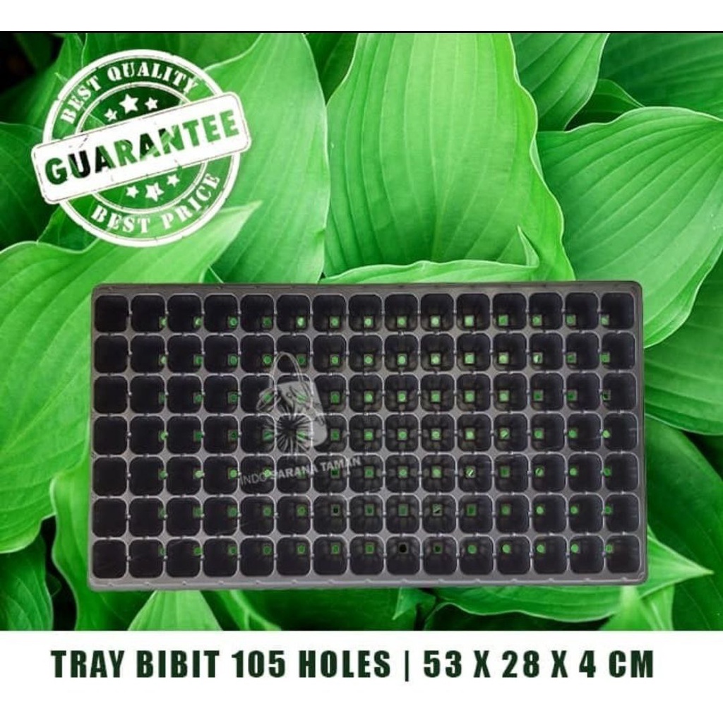 Jual TRAY SEMAI 105 Tray Pembibitan Seedling Tray Pot Tray Pot ...