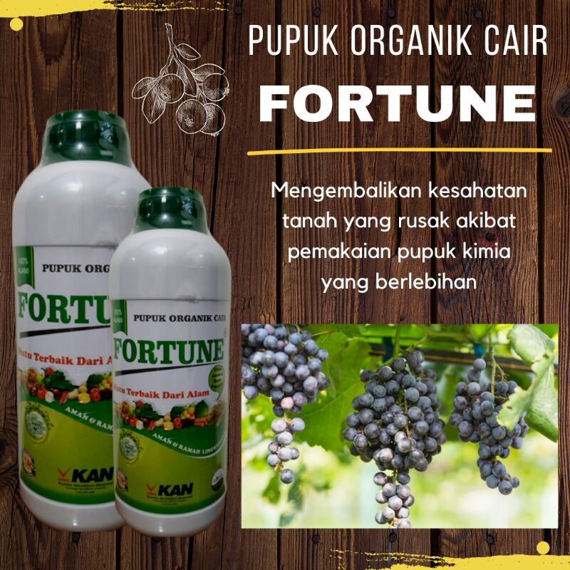 Jual Pupuk Anggur Masa Vegetatif Pertumbuhan Pupuk Anggur, Pupuk ...