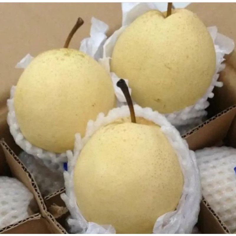 Jual BUAH PEAR MADU FRESH BANYAK AIR DAN MANIS | Shopee Indonesia