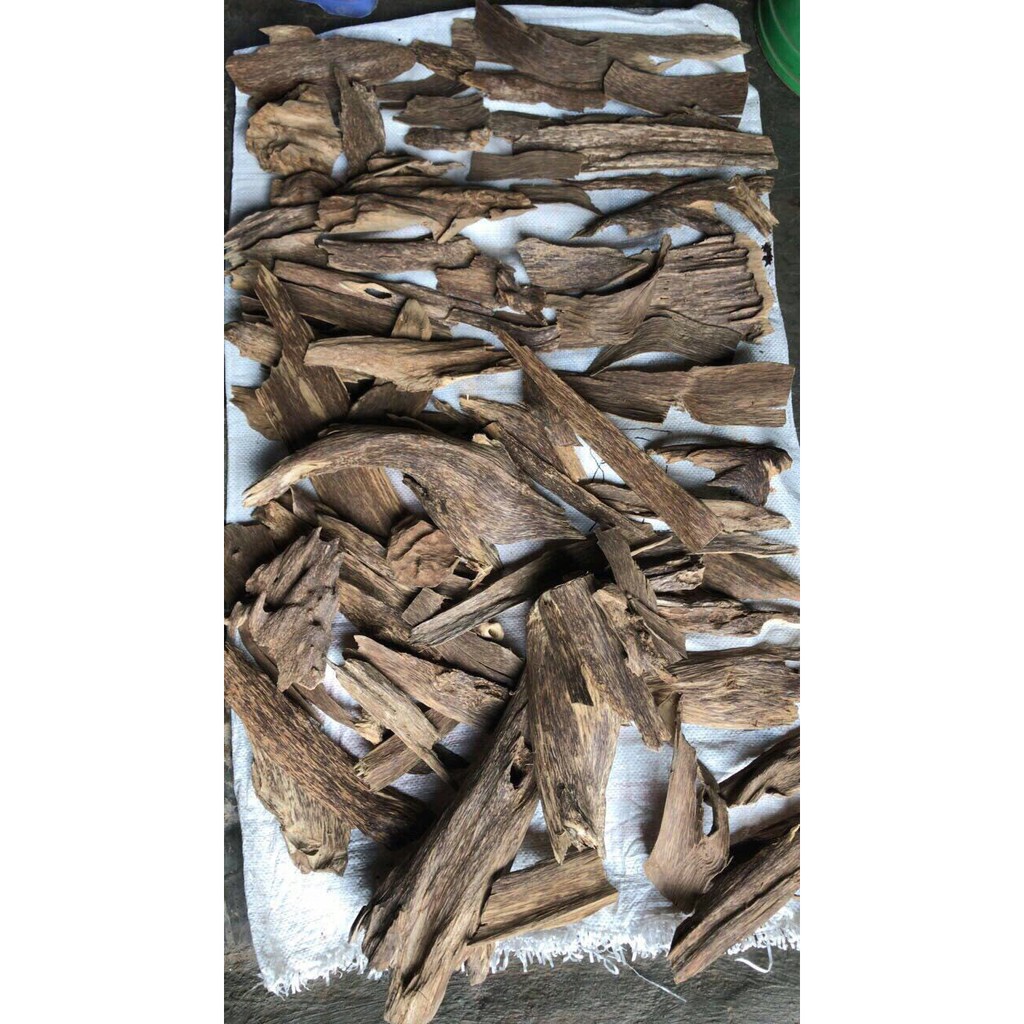 Jual KAYU GAHARU KALIMANTAN AB SUPER PREMIUM ASLI | Shopee Indonesia