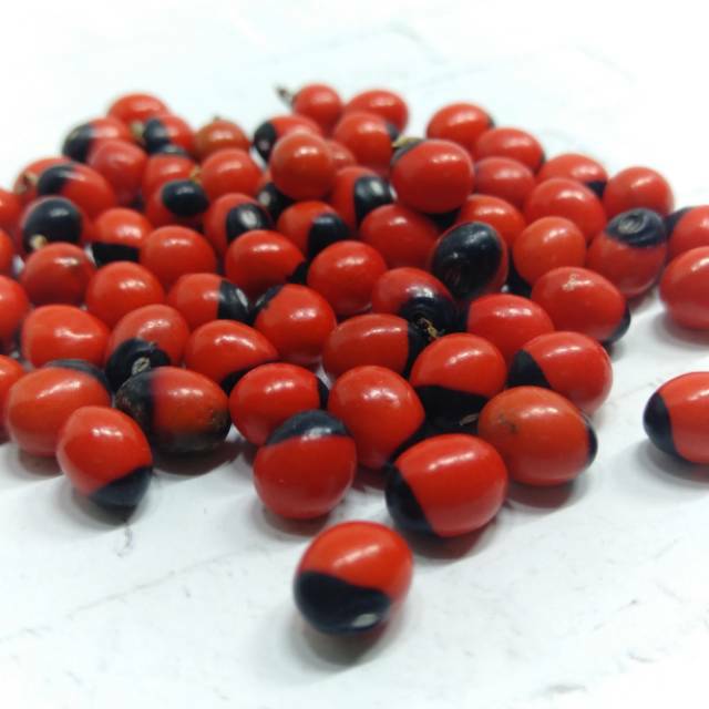 Jual 20pcs Biji Saga Rambat Dried Flower Bunga Kering bahan kolase ...