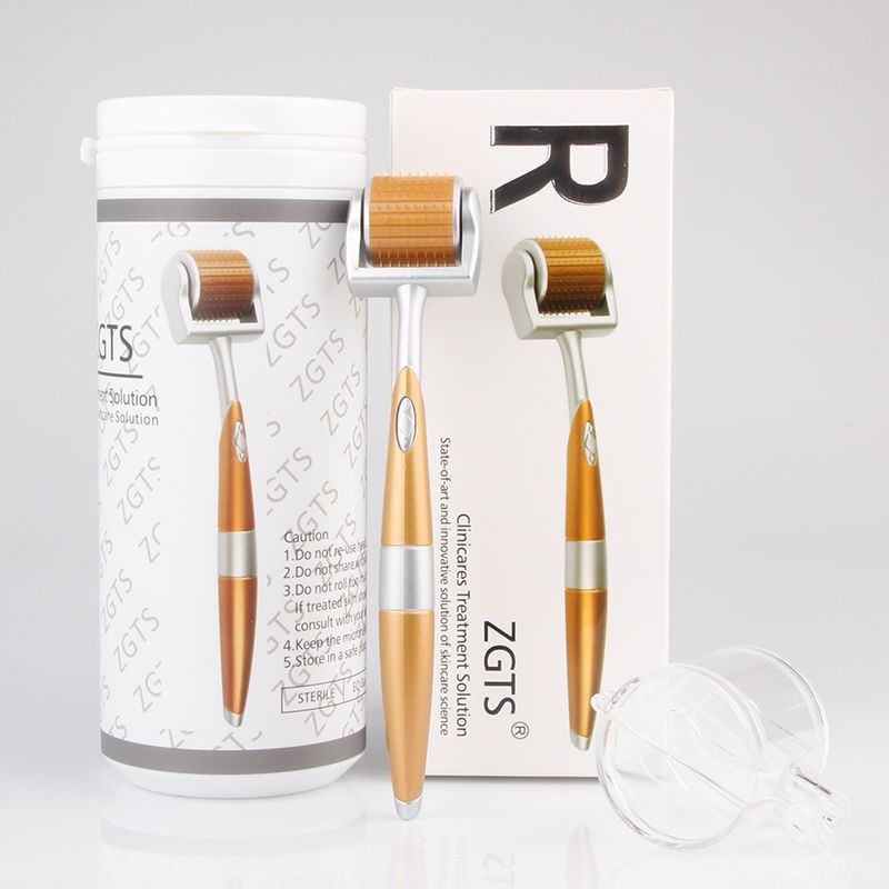 Jual DERMA ROLLER TITANIUM ZGTS DERMAROLLER TITANIUM NEEDLES | Shopee ...