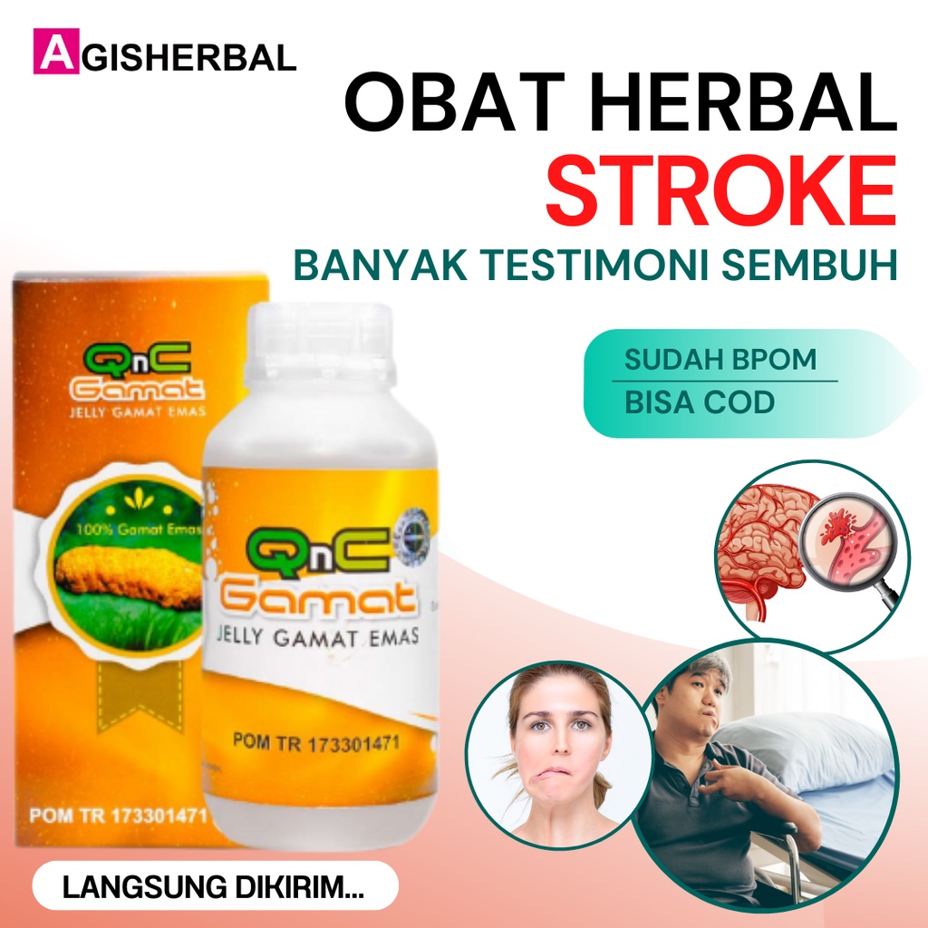 Jual Obat Stroke Herbal - Stroke Ringan Dan Stroke Berat - Qnc Jelly ...