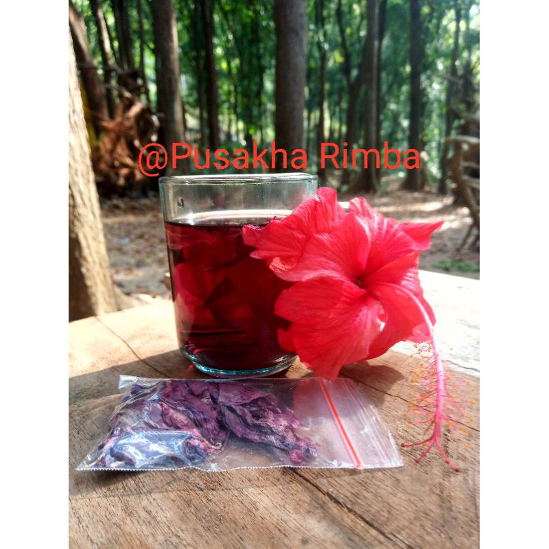Jual Hibiscus Tea/ Teh Bunga sepatu Kering 1gram | Shopee Indonesia
