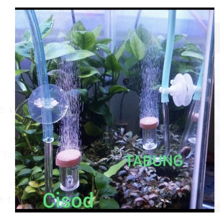 Jual diffuser co2 difuser keramik co2 diffuser co2 keramik DIY | Shopee ...