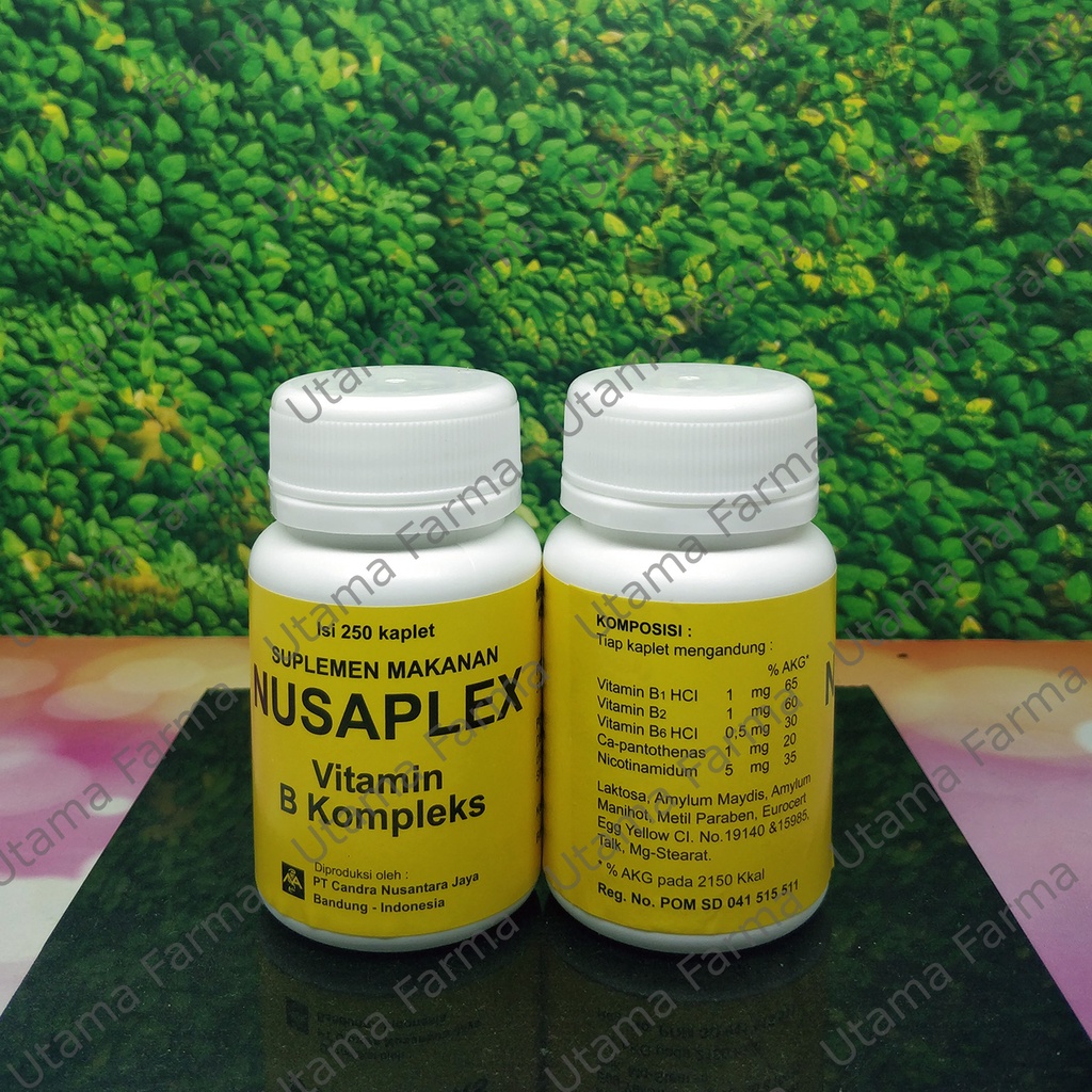 Jual NUSAPLEX VITAMIN B COMPLEX | BOTOL ISI 250 | Shopee Indonesia