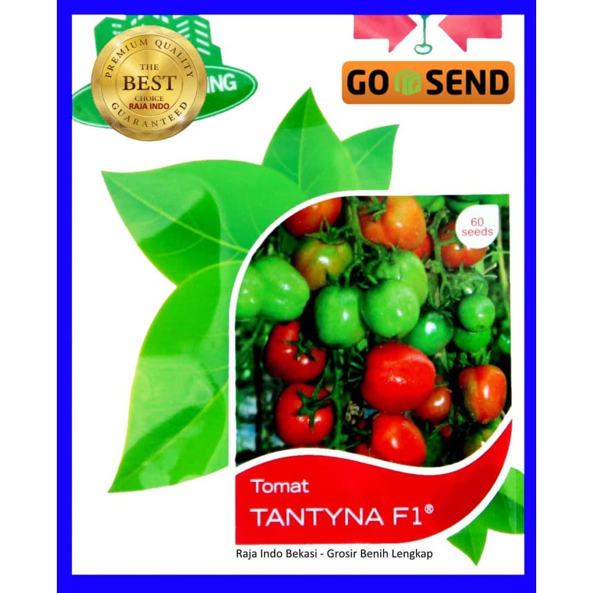 Jual Benih Tomat Tantyna F1 60 Biji Panah Merah Personal Pouch Tomat ...