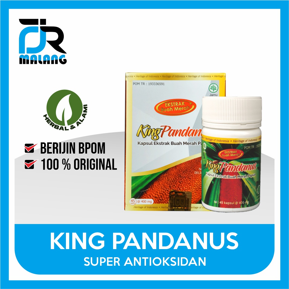 Jual [ORIGINAL] KING PANDANUS OBAT PANAS DINGIN HEPATITIS B DARAH ...