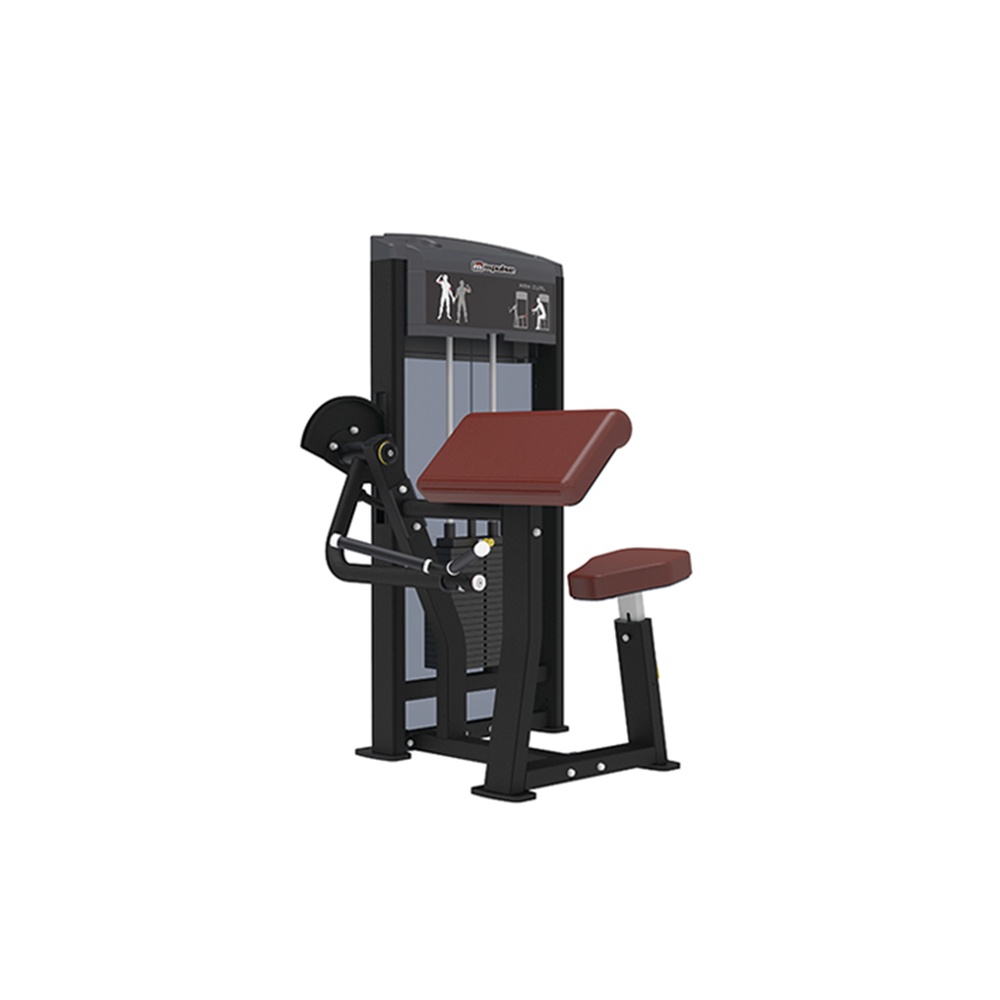 Jual IMPULSE IF9303 ARM CURL/BICEP | Shopee Indonesia