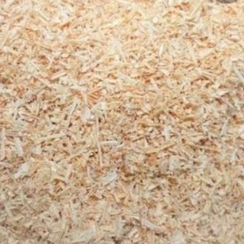 Jual Serbuk kayu ukuran JUMBO | Shopee Indonesia