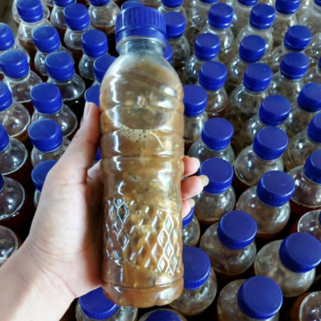 Jual RUSIP KHAS BANGKA BLITUNG | Shopee Indonesia