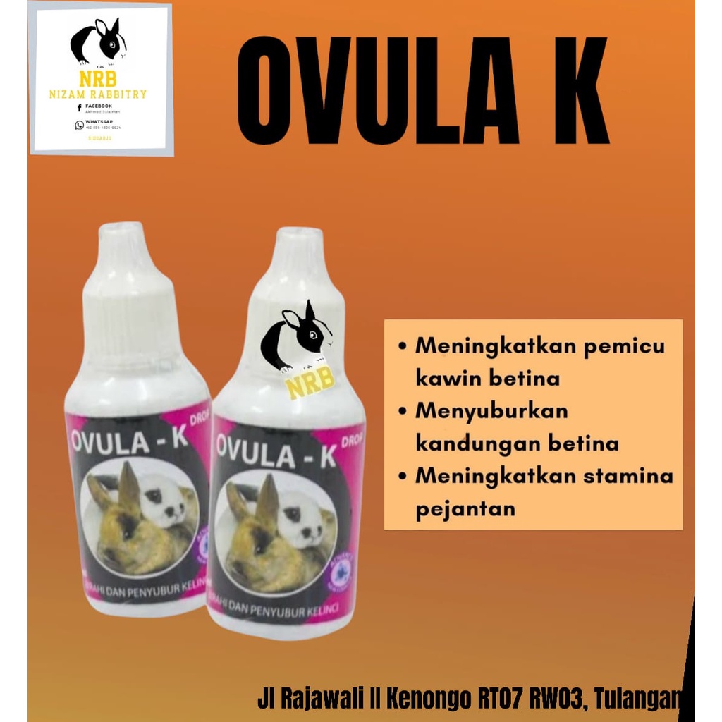Jual Ovula-k 30ml/Obat Birahi untuk hewan kelinci | Shopee Indonesia