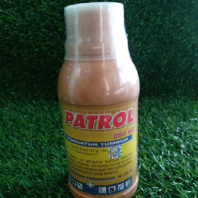 Jual Pupuk Patrol 250SC 250ml ZPT Patrol 250 ml Zat Pengatur Tumbuh ...
