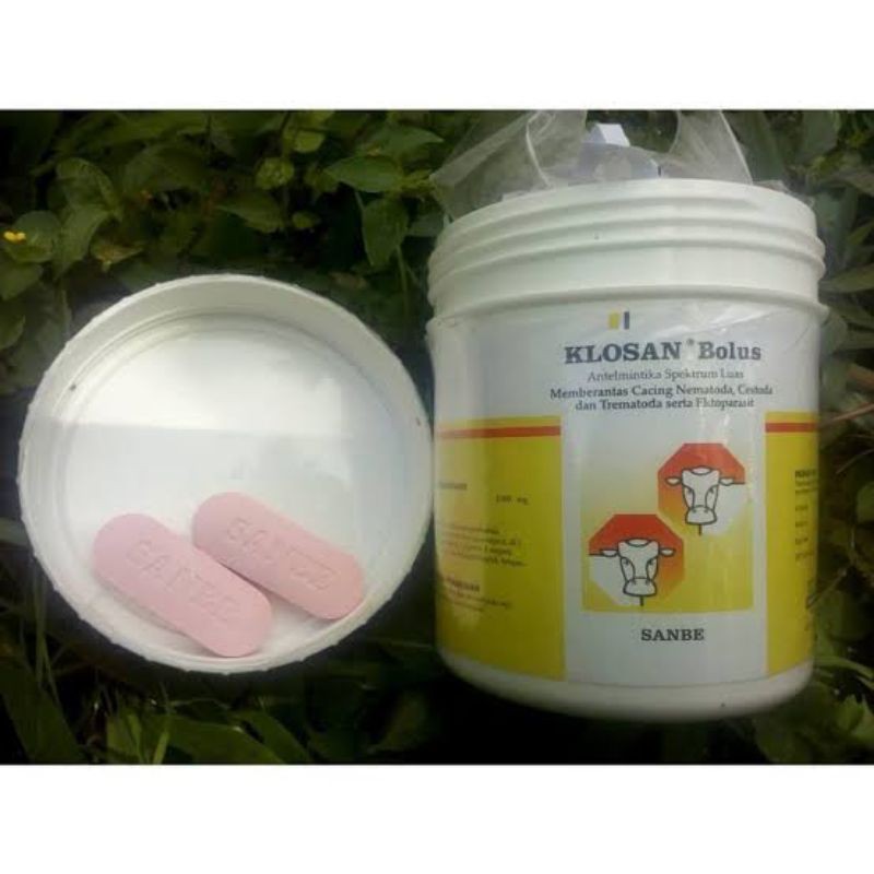Jual SANBE (KLOSAN Bolus isi 42 Bolus) | Shopee Indonesia
